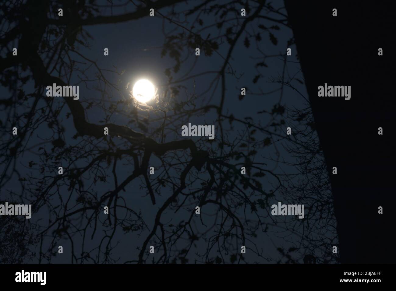 full moon, Germany Stock Photo - Alamy