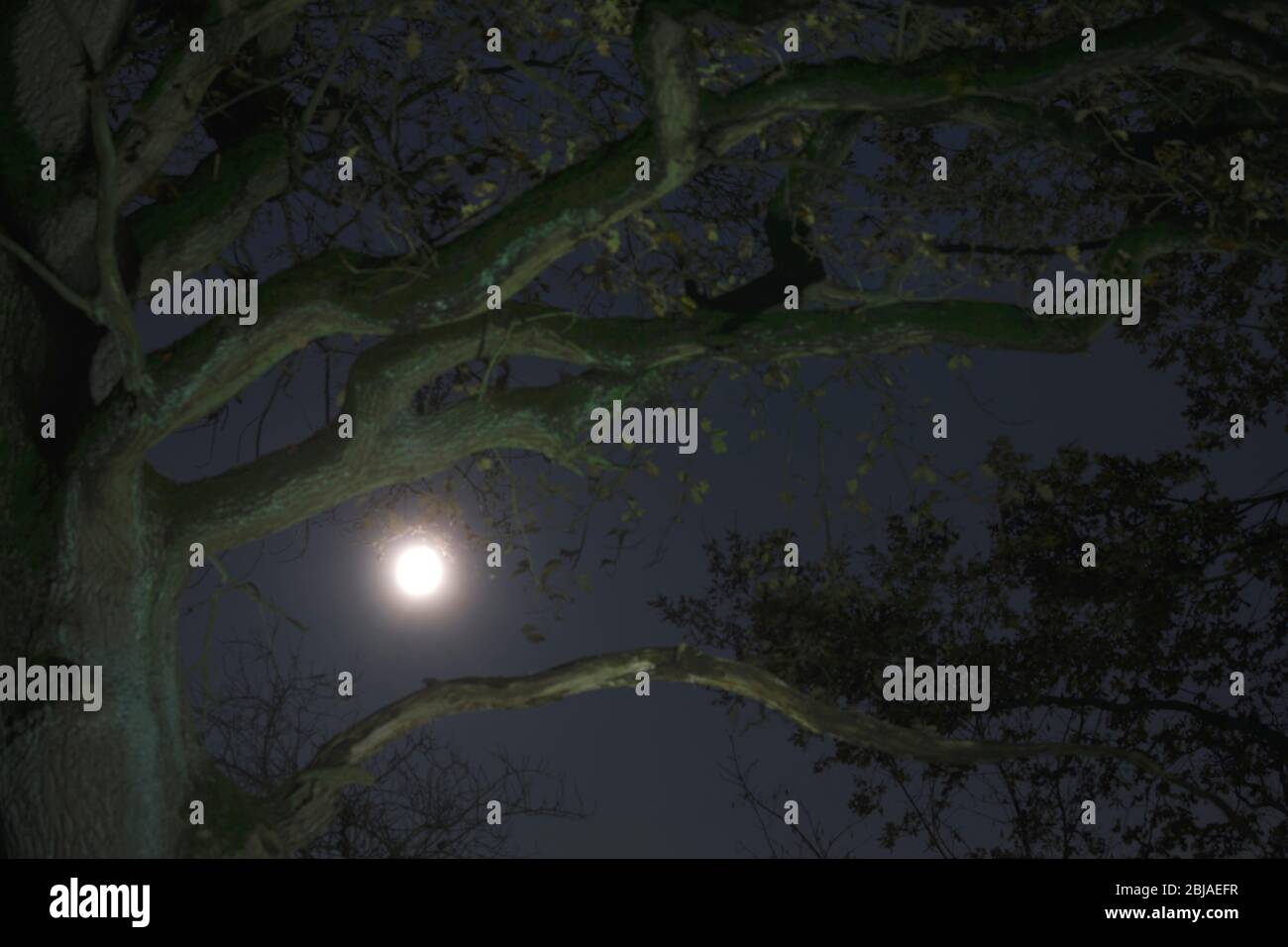 full moon, Germany Stock Photo - Alamy