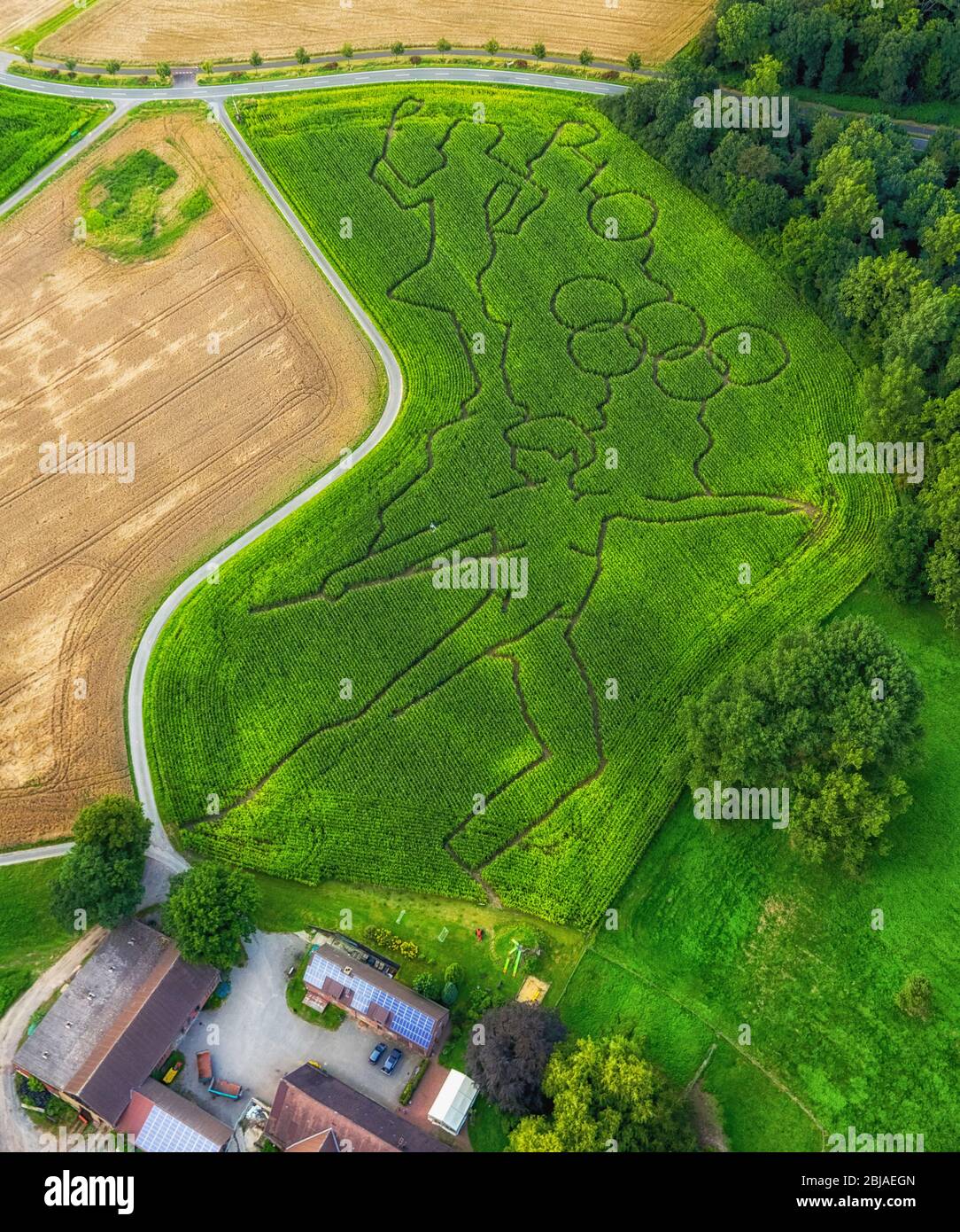 Maze labyrinth hi-res stock photography and images - Alamy