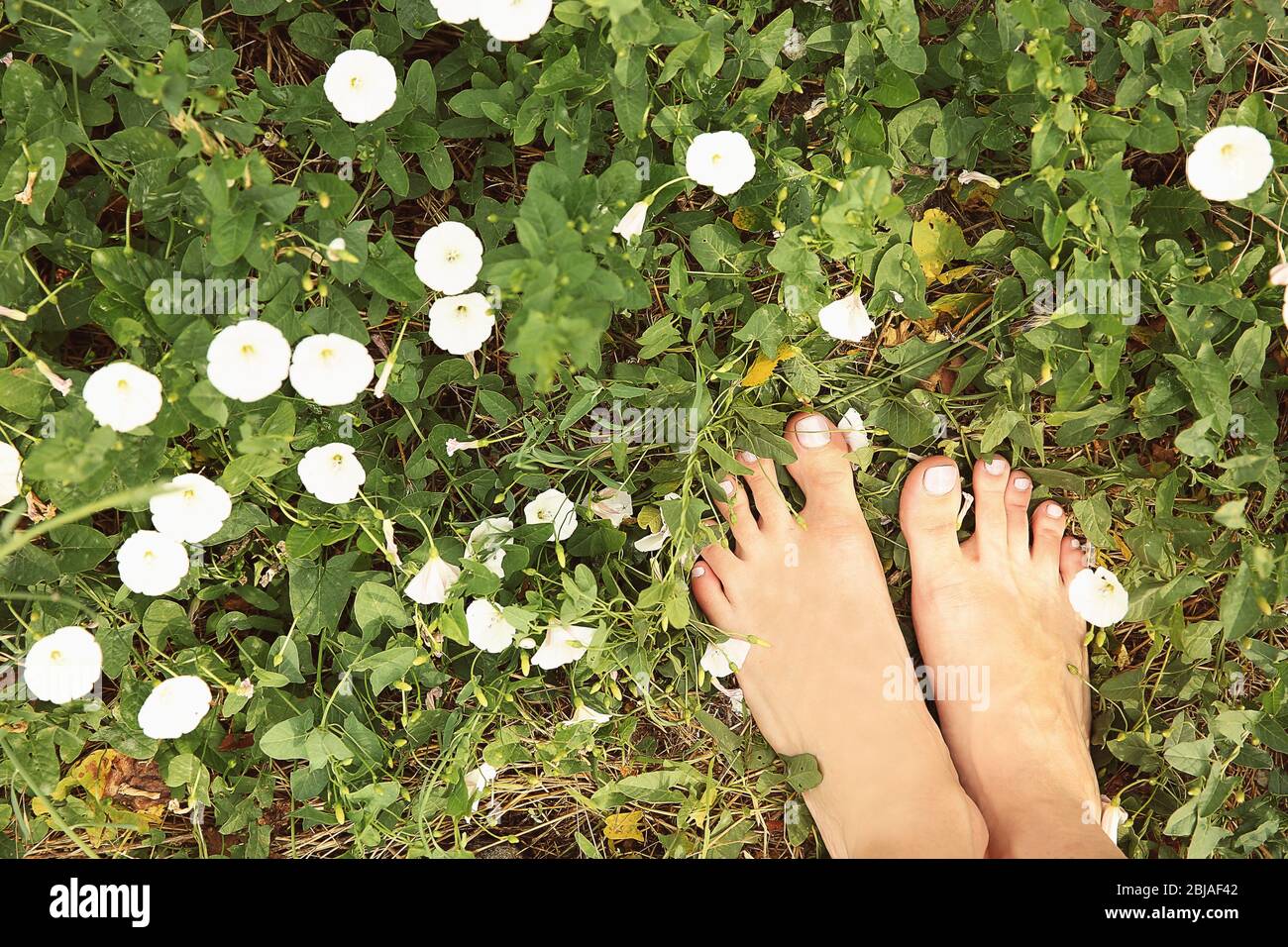 Woman feet on grass background Stock Photo - Alamy