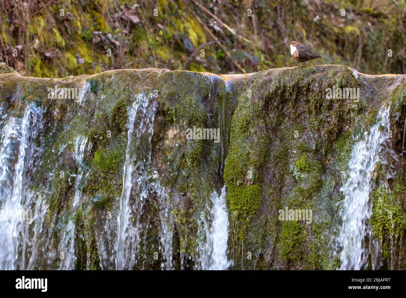 Edge waterfall hi-res stock photography and images - Alamy