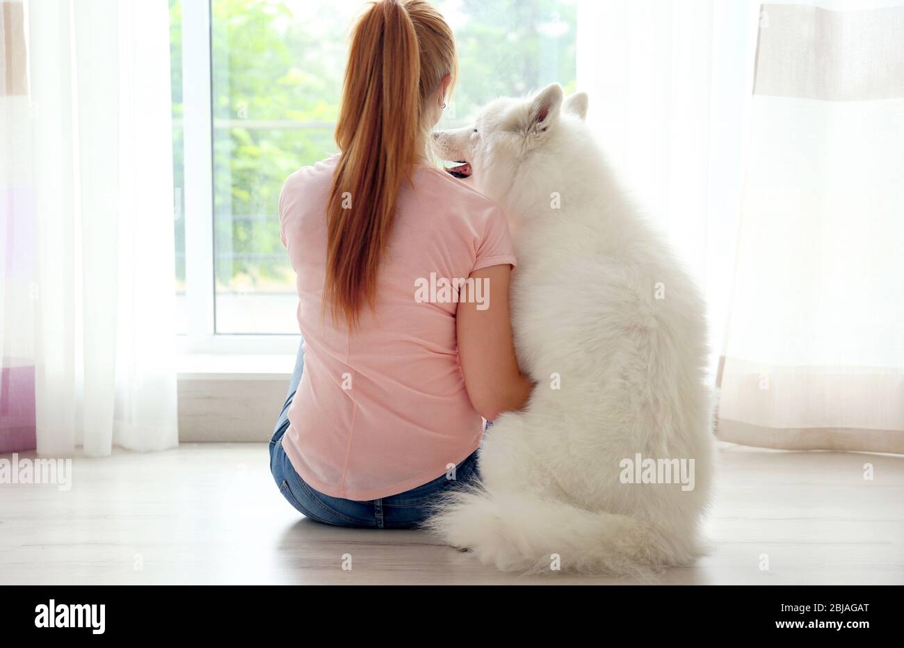 Girl and Samoyed dog hugging on floor Stock Photo - Alamy