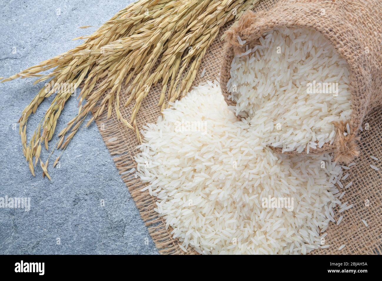 thai fragrant jasmine rice in a spoon with gold spike on Sack Stock ...