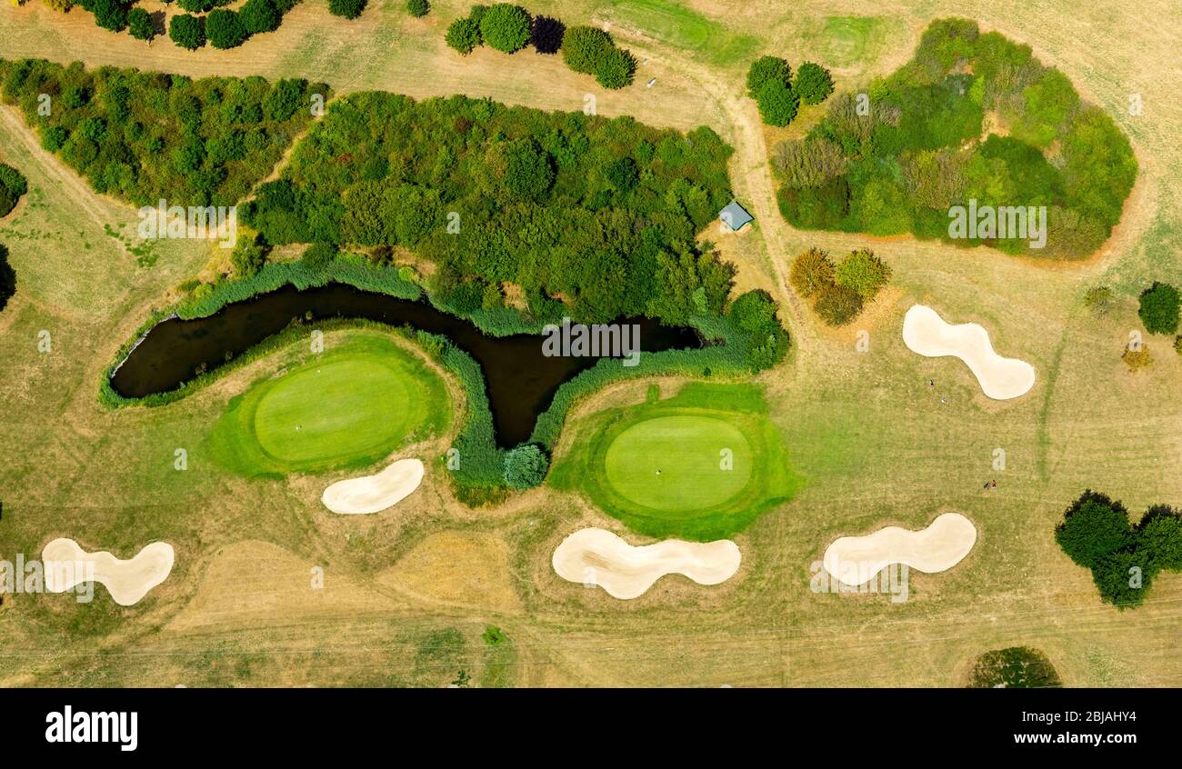 Golf club Op de Niep e.V., 27-holes ground, withered lawn in summer ...