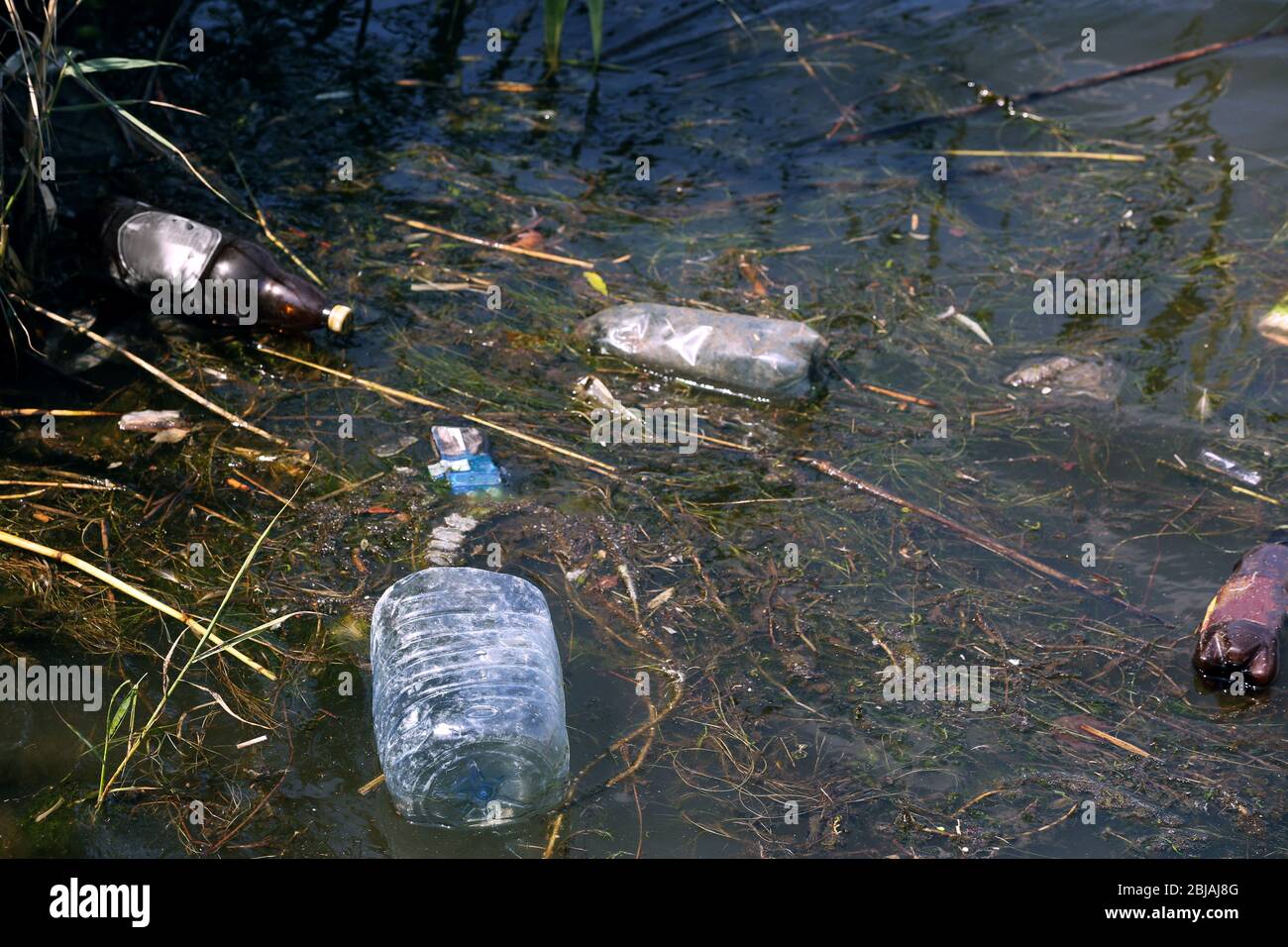 Water pollution with glass and plastic bottles Stock Photo - Alamy
