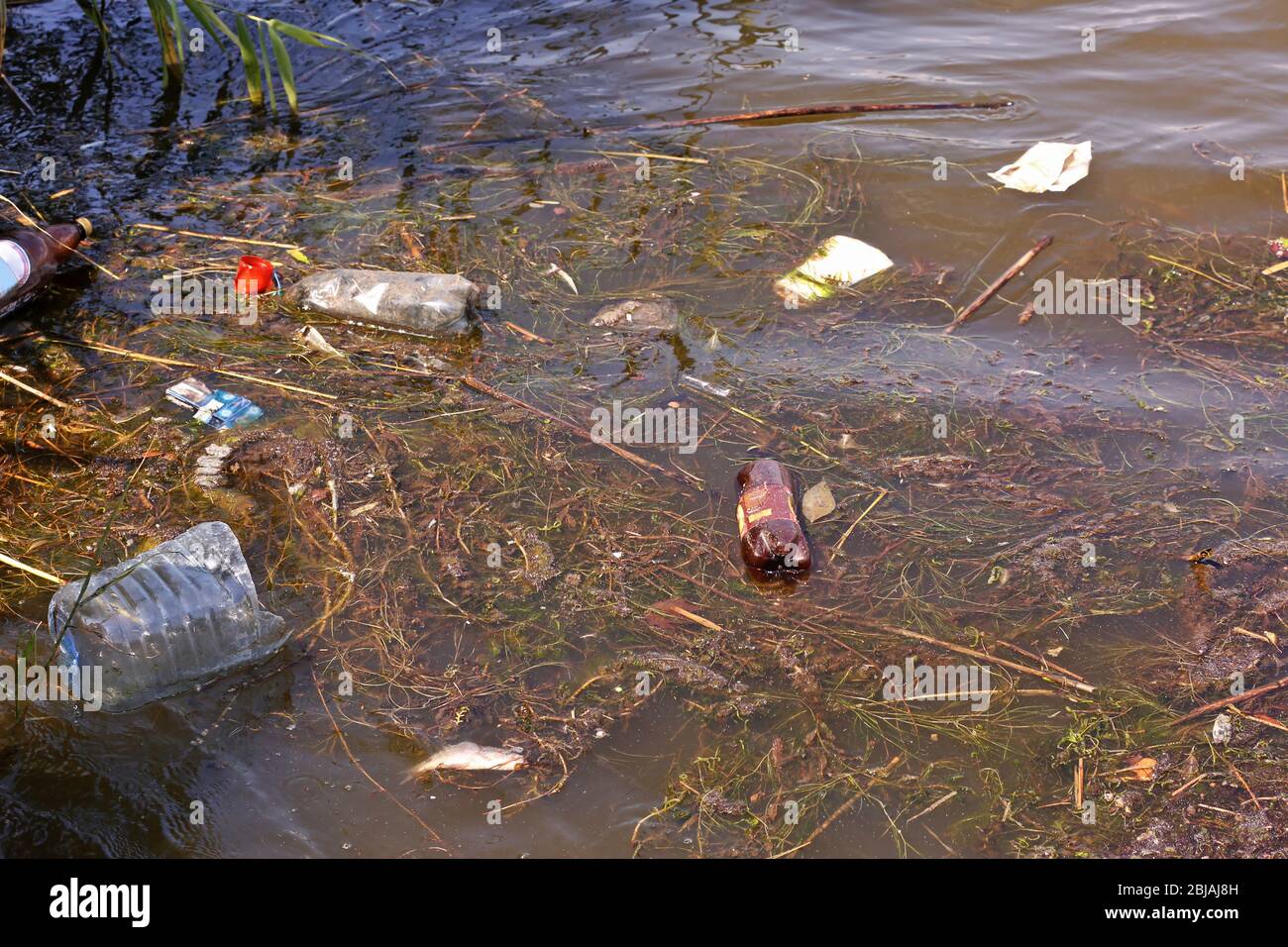 Water pollution with glass and plastic bottles Stock Photo - Alamy