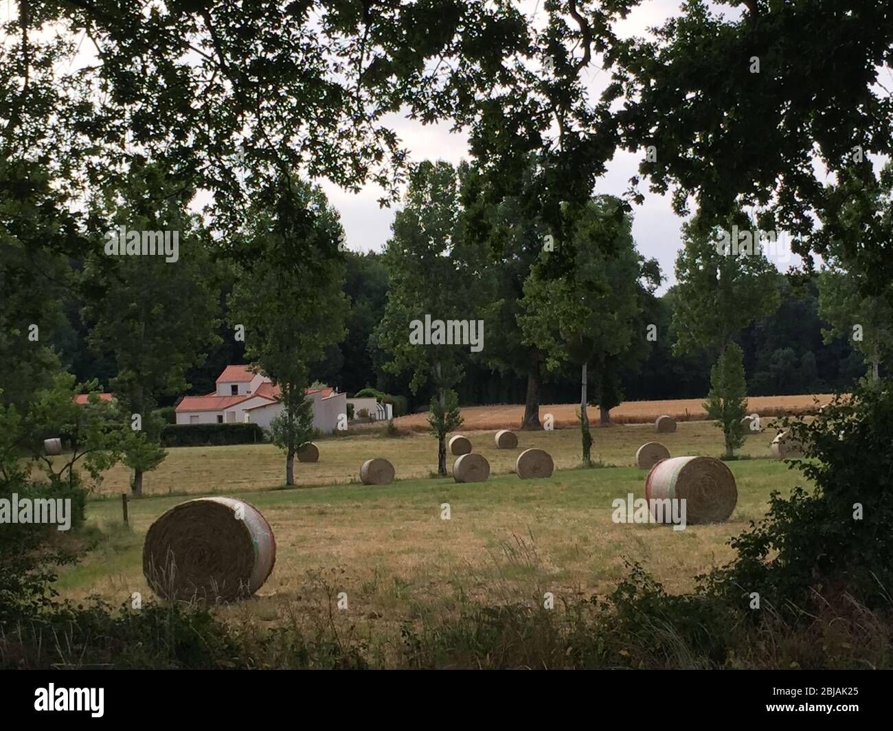 Hay Bails In The French Countryside 1 Stock Photo - Alamy
