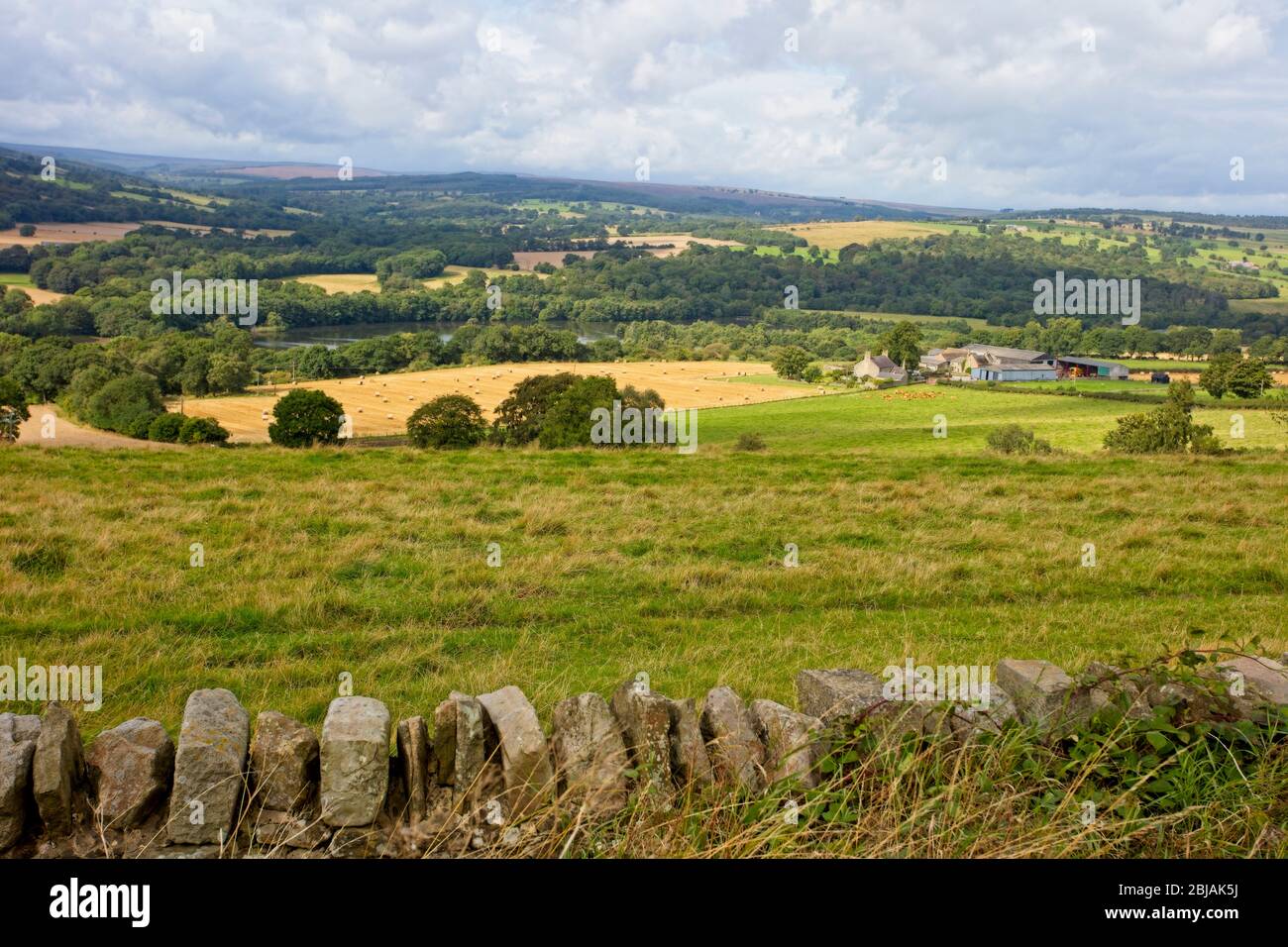 Cultivation woodland hi-res stock photography and images - Alamy