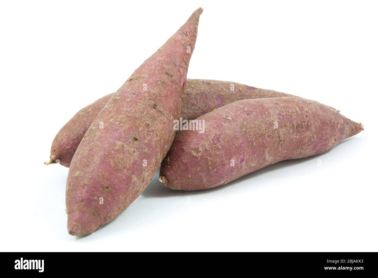 Tapioca plants hi-res stock photography and images - Alamy