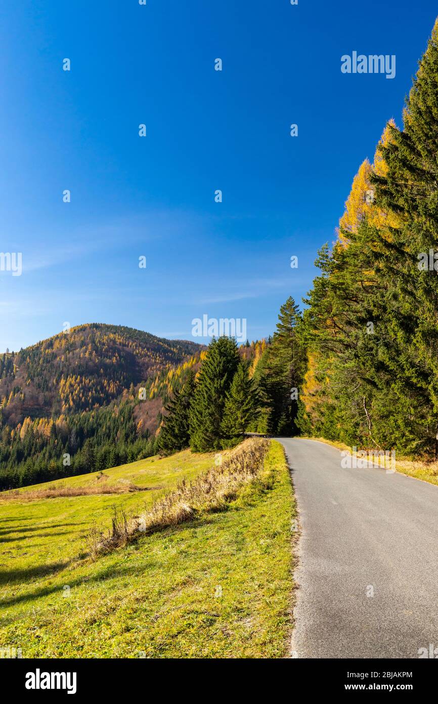 Luky hi-res stock photography and images - Alamy