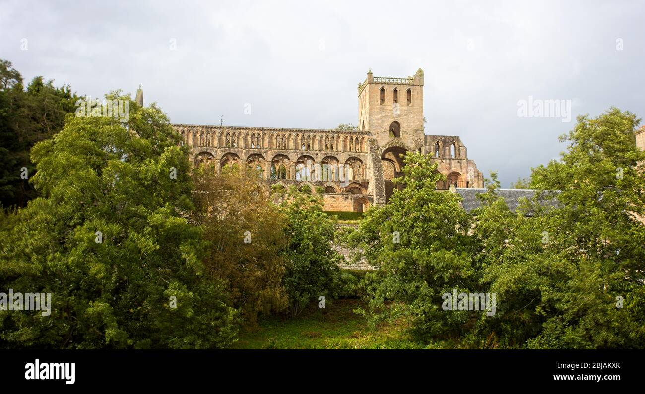 The ruins of the 12th century Jedburgh Abbey above the river, Jed Water ...