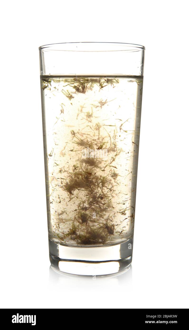 Glass of contaminated water isolated on white Stock Photo - Alamy