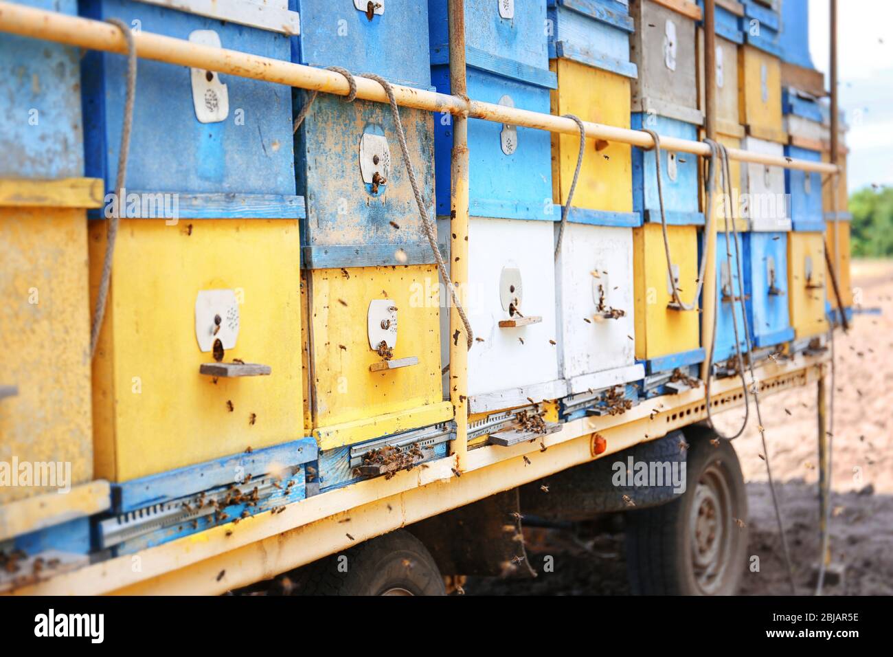 Mobile beehives hi-res stock photography and images - Alamy
