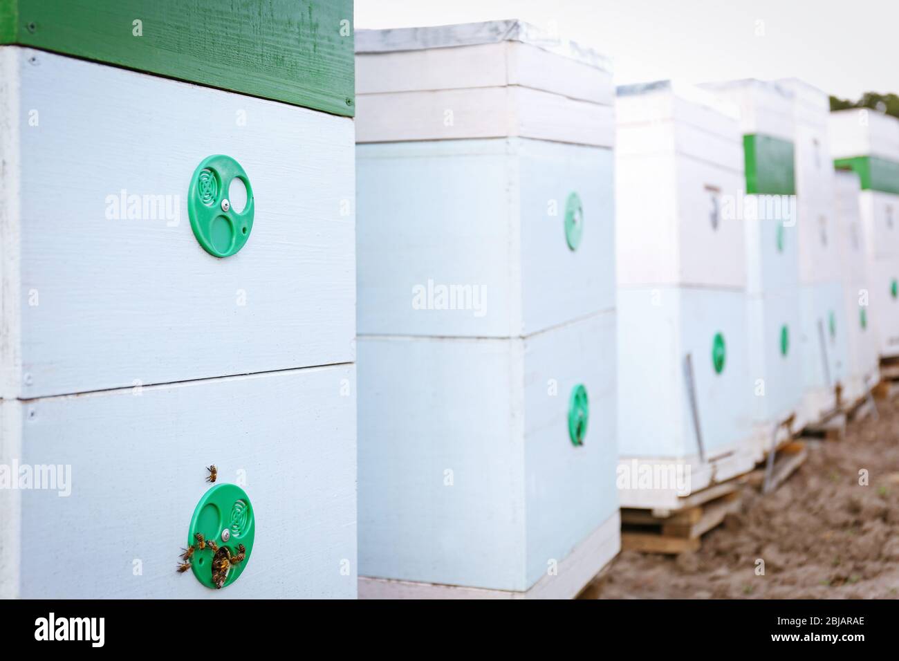 White Beehives High Resolution Stock Photography and Images - Alamy