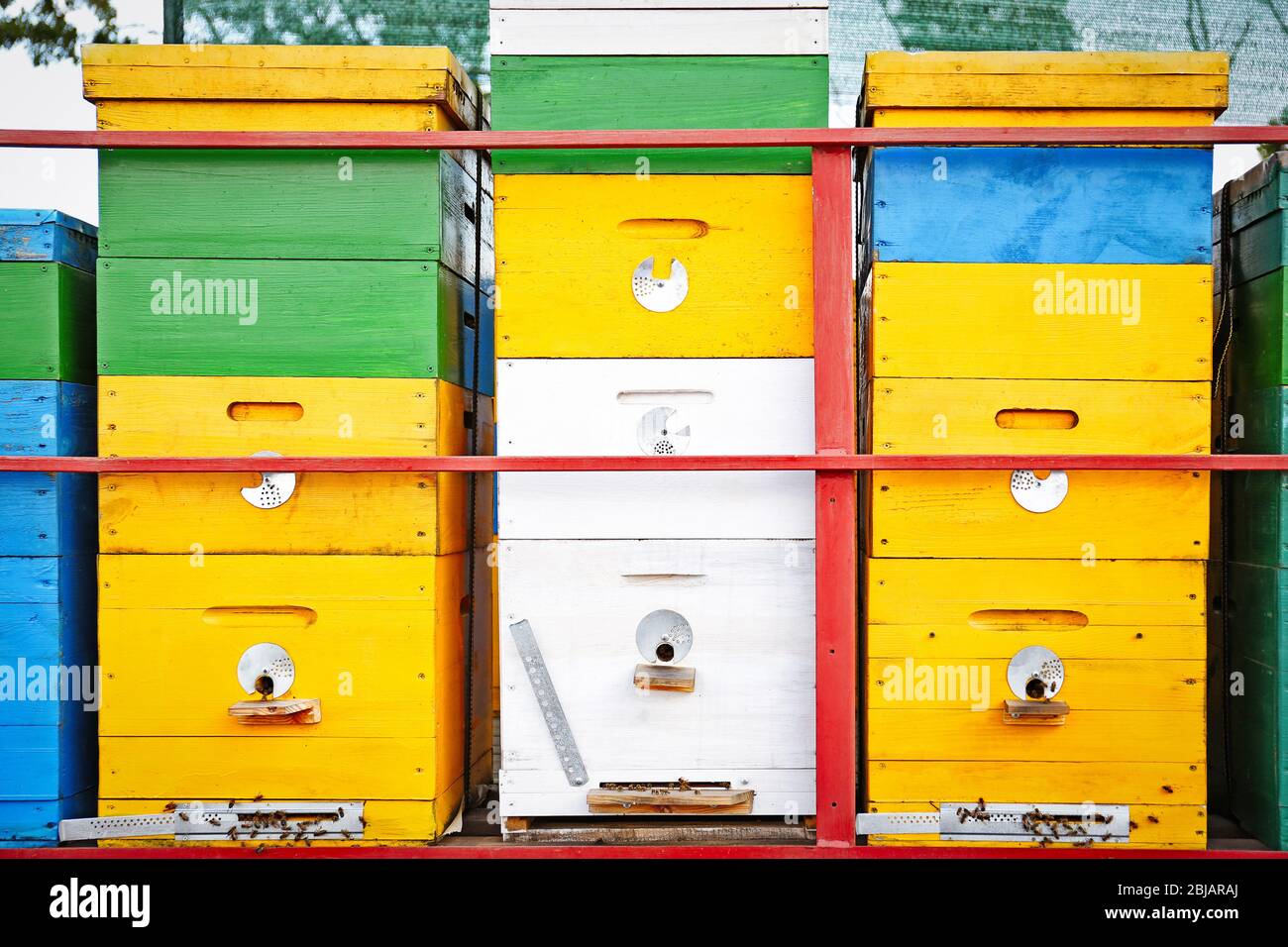 Mobile beehives hi-res stock photography and images - Alamy