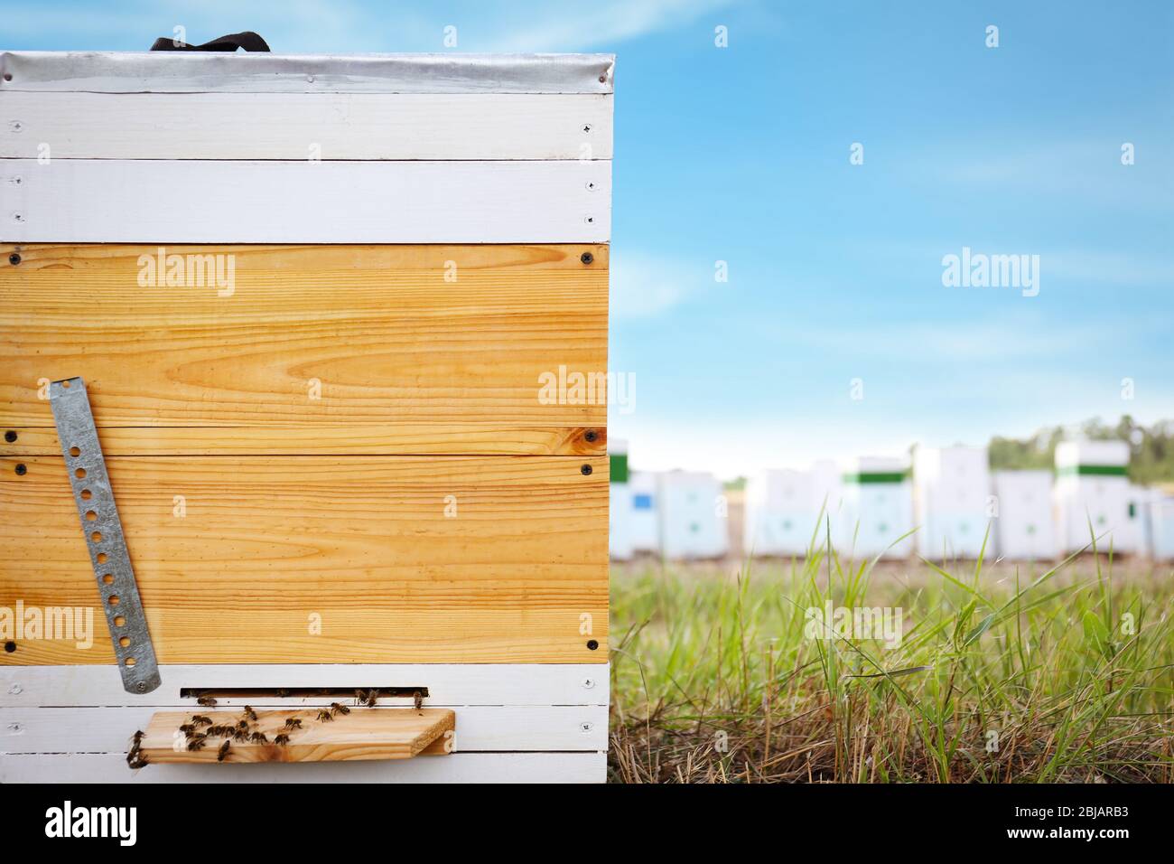 Beehive in field Stock Photo - Alamy