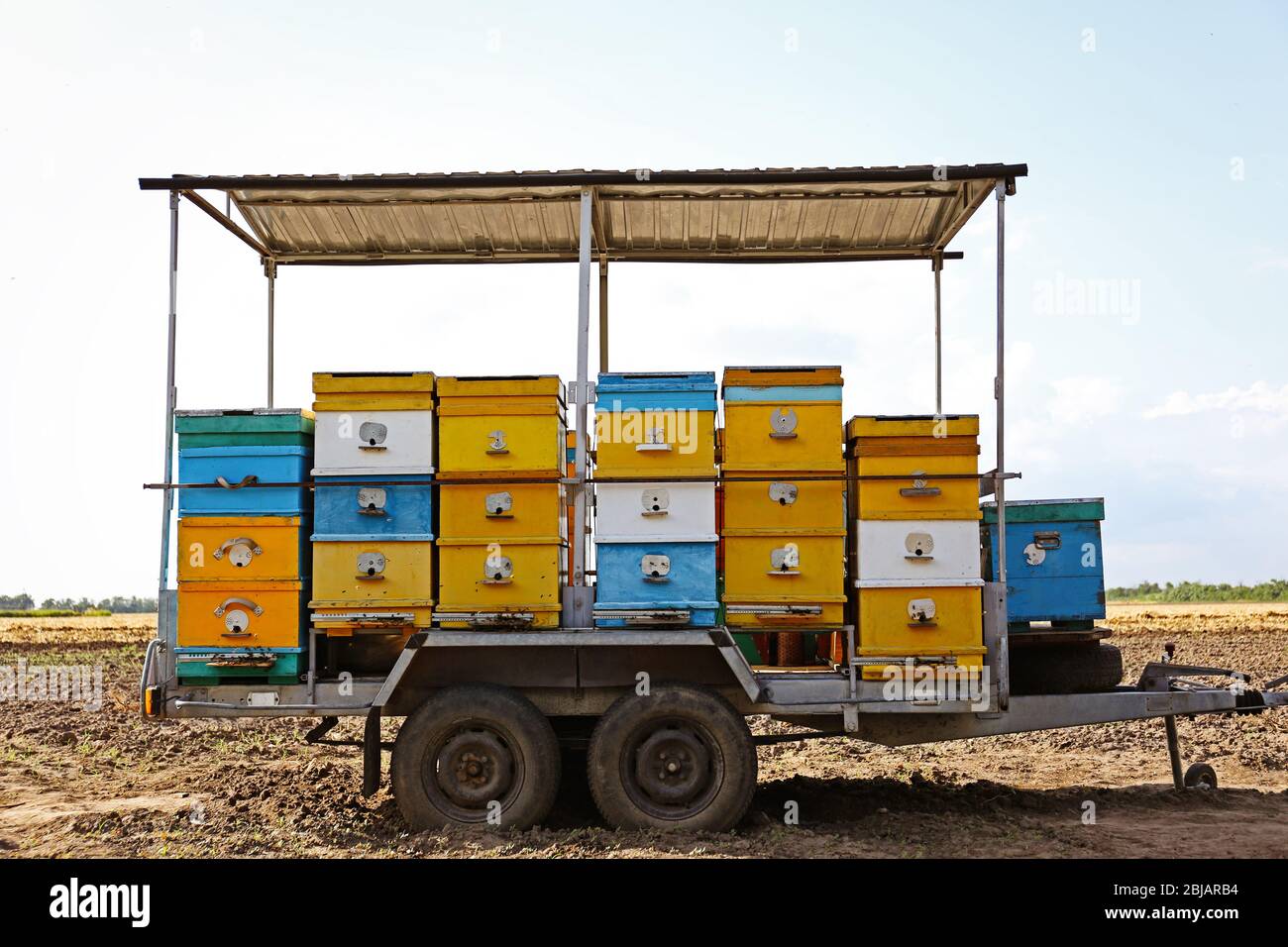 Mobile apiary in field Stock Photo - Alamy