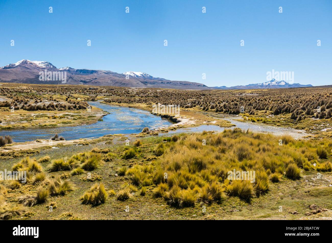High Andean tundra landscape in the mountains of the Andes. The weather ...