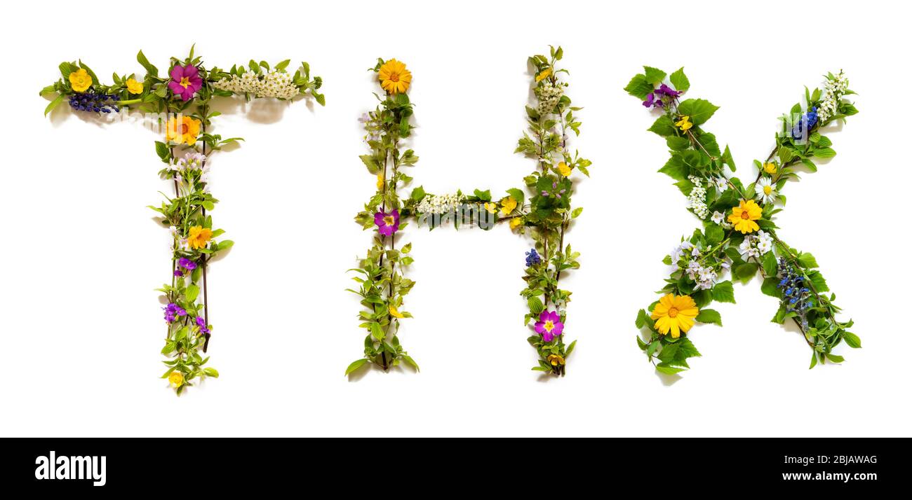 Flower And Blossom Letter Building Word THX Means Thank You Stock Photo - Alamy