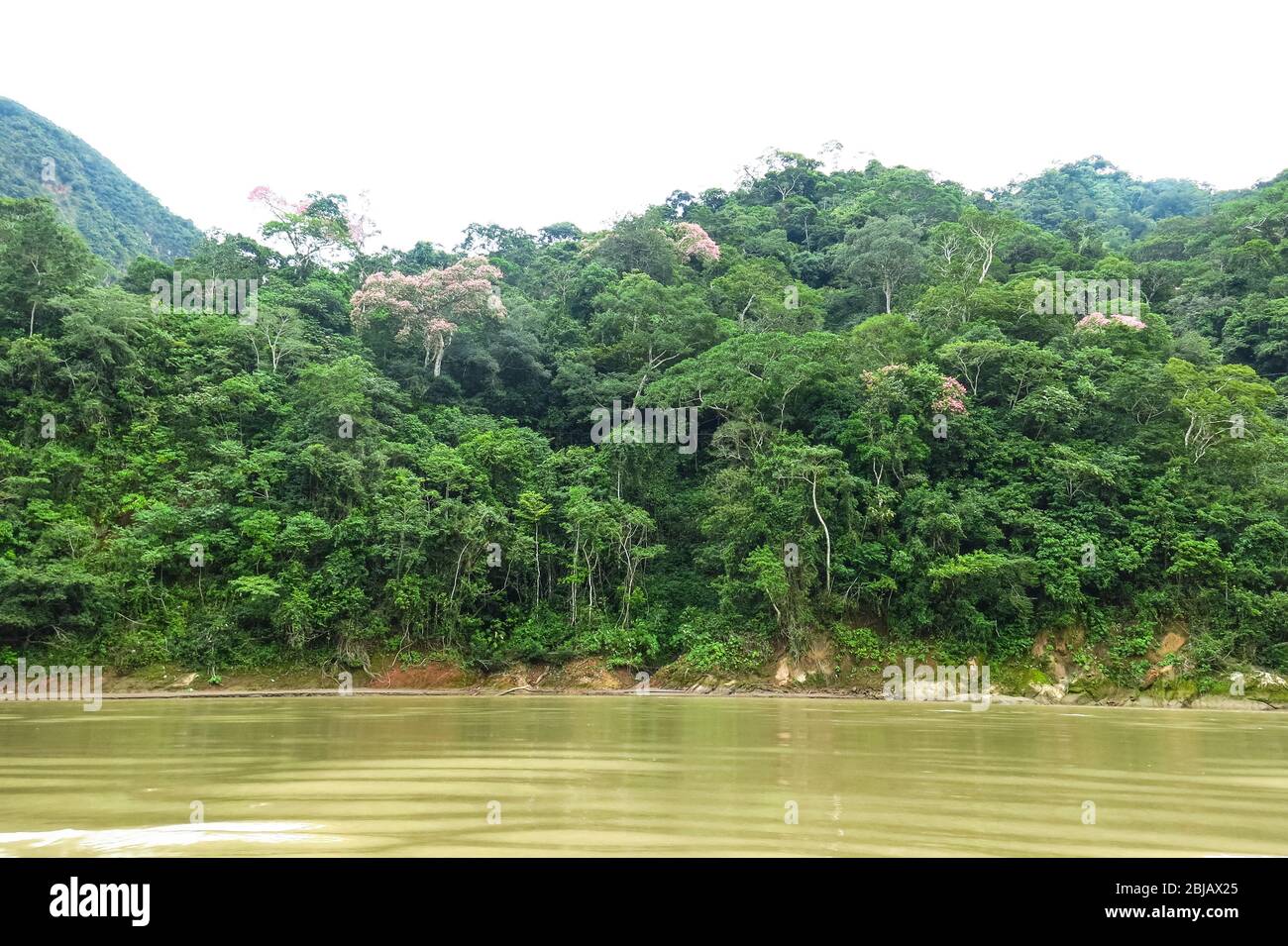 Boat Madidi River Madidi National Park High Resolution Stock ...