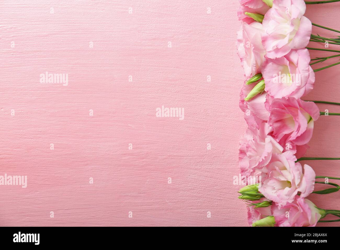Fresh flowers frame on pink background Stock Photo - Alamy