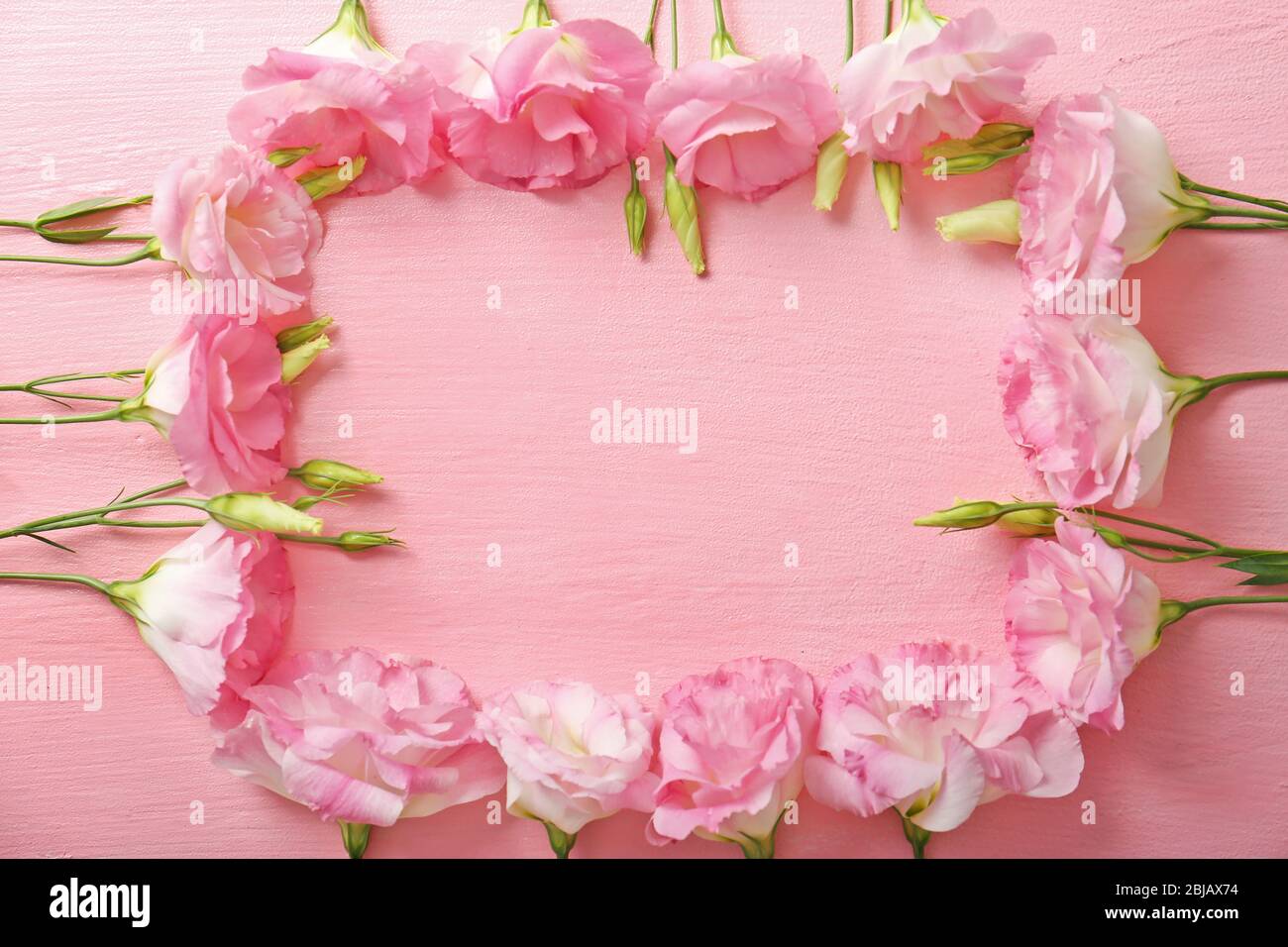 Fresh flowers frame on pink background Stock Photo - Alamy