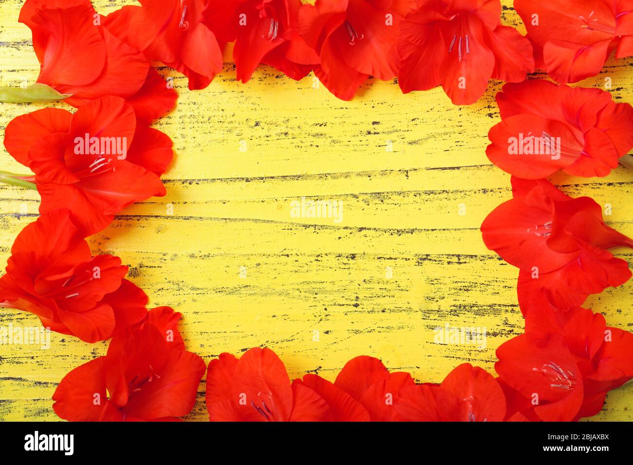 Fresh red flowers frame on wooden background Stock Photo - Alamy