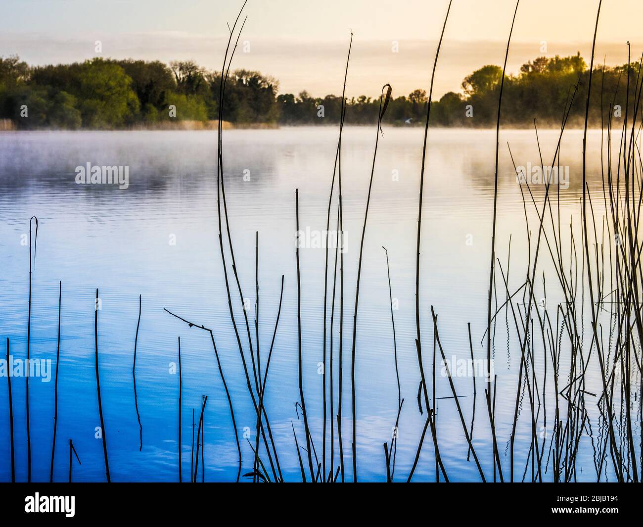 Coate spring hi-res stock photography and images - Alamy
