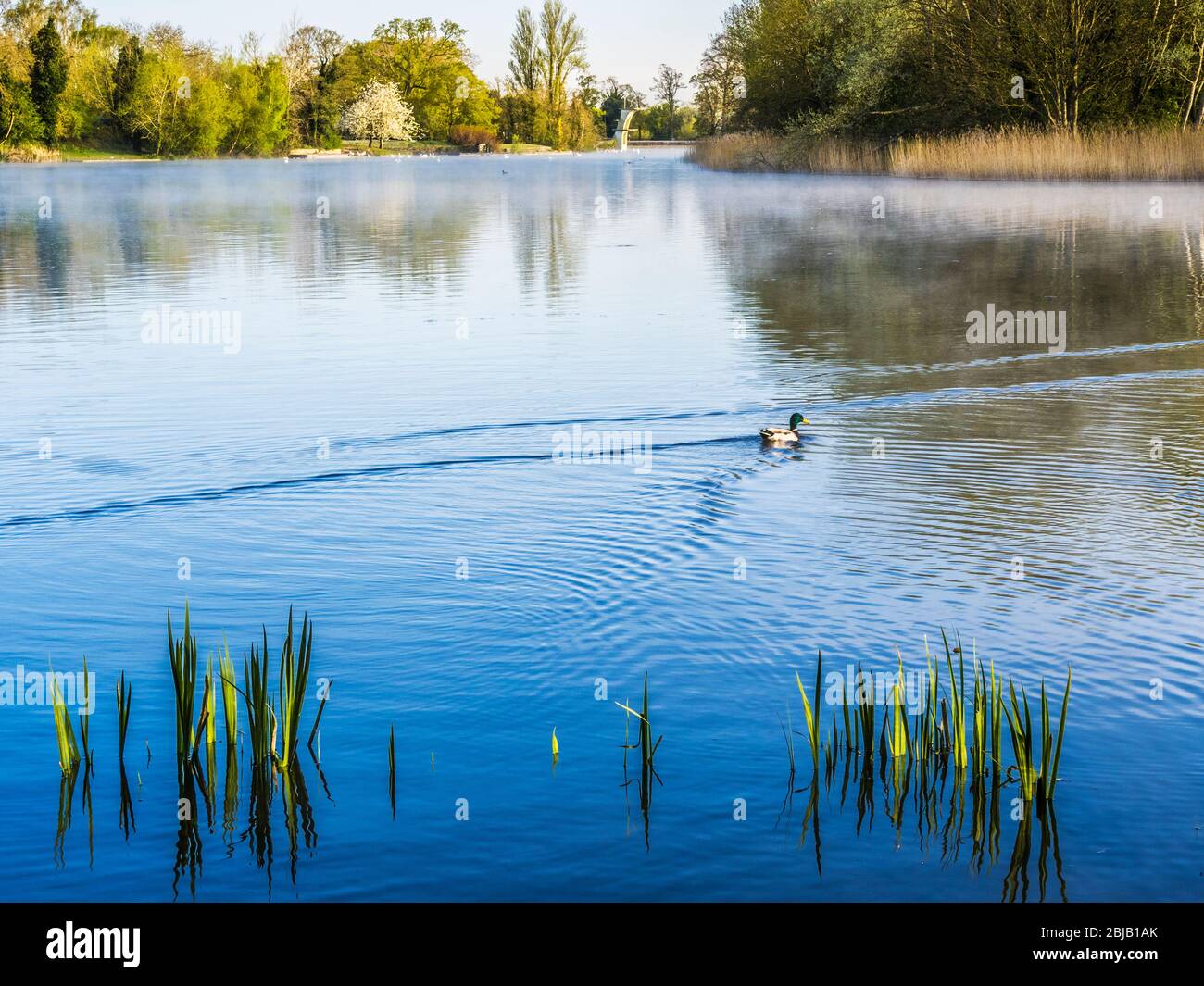 A sunny, spring morning at Coate Water in Swindon Stock Photo - Alamy