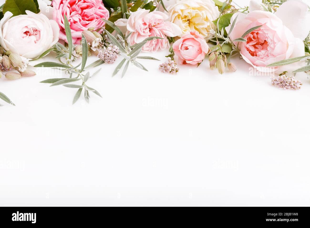 Festive flower composition on the white background. Overhead view Stock ...