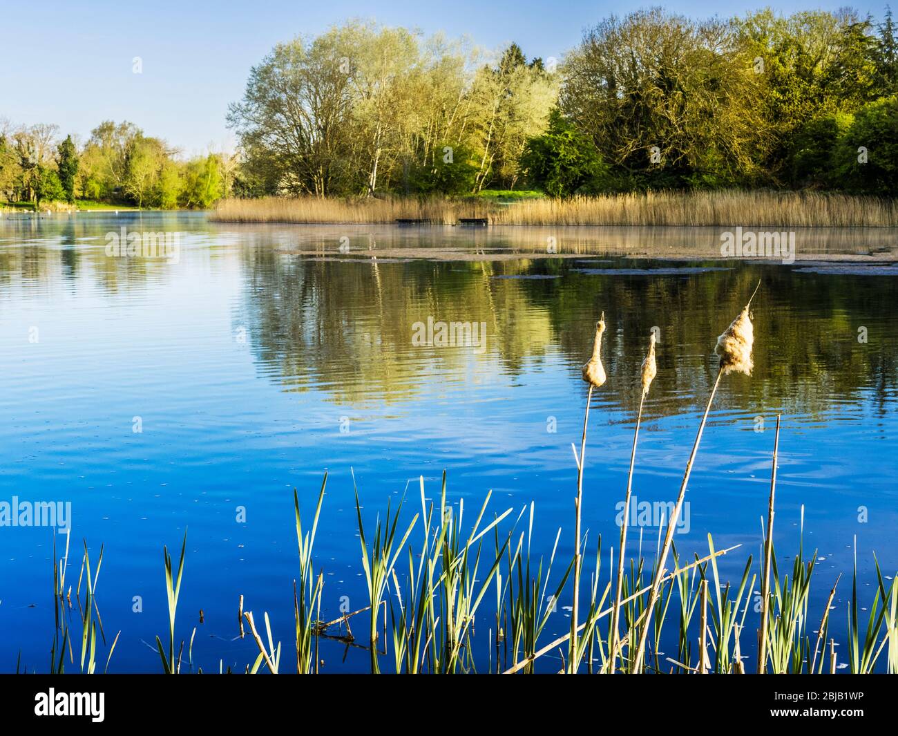 British spring water hi-res stock photography and images - Alamy