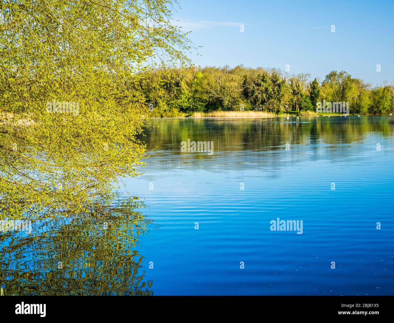 Sunny water hi-res stock photography and images - Alamy