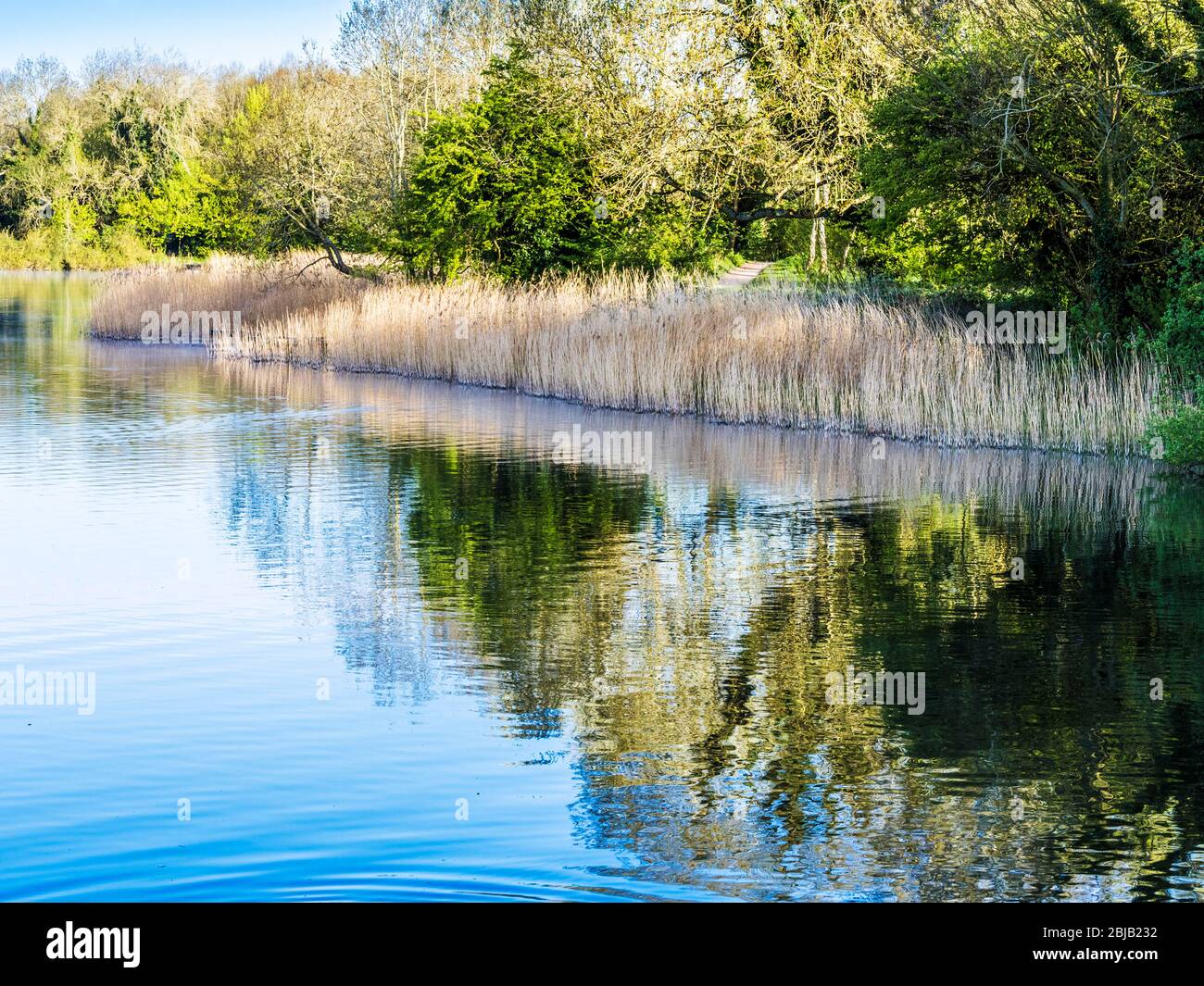 Coate water park swindon landscape hi-res stock photography and images ...