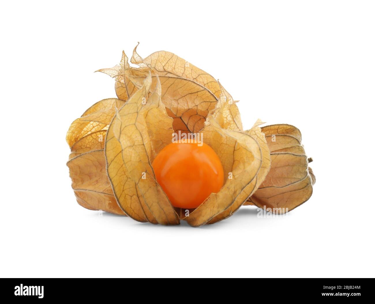 Physalis, isolated on white Stock Photo - Alamy
