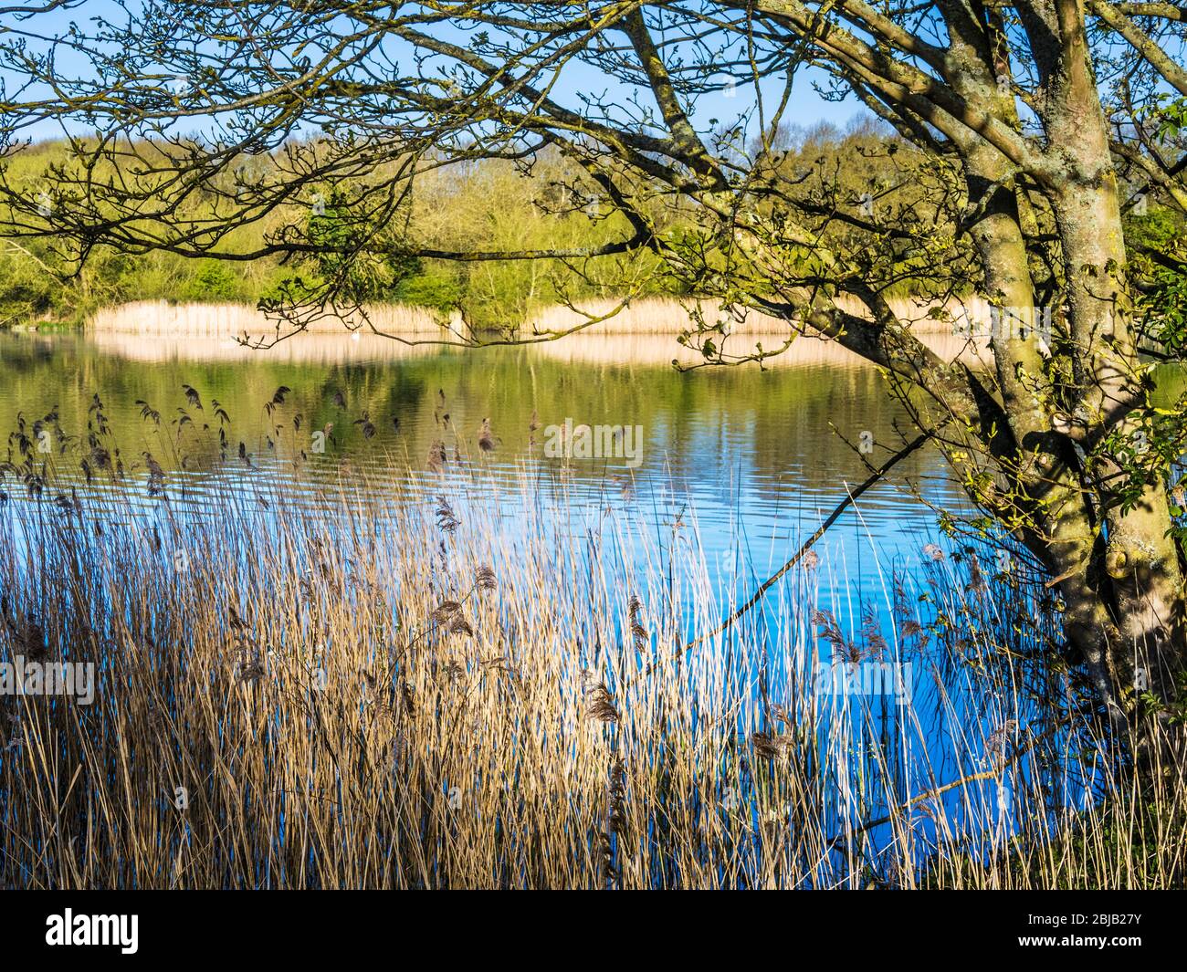 Manmade in nature hi-res stock photography and images - Alamy
