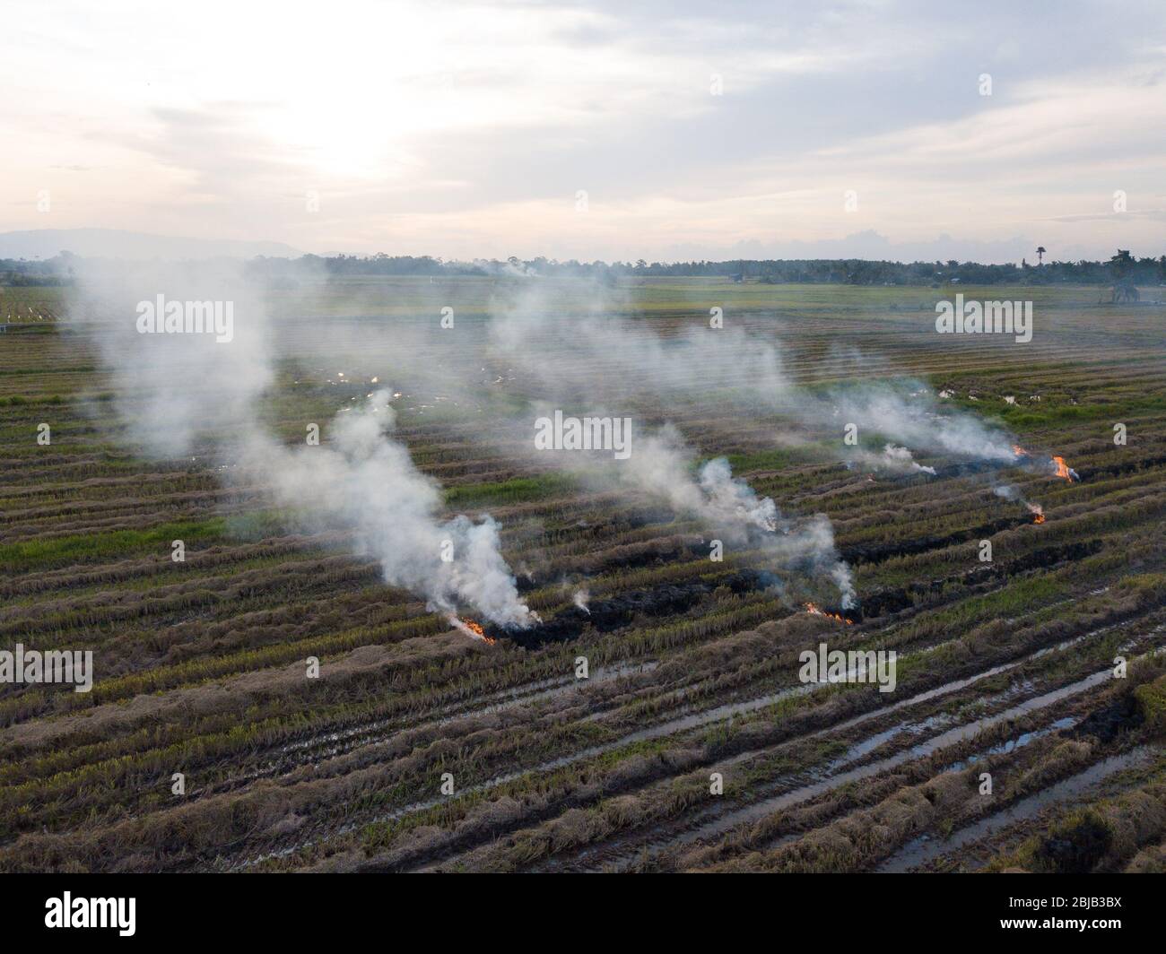 Agricultural open burning hi-res stock photography and images - Alamy