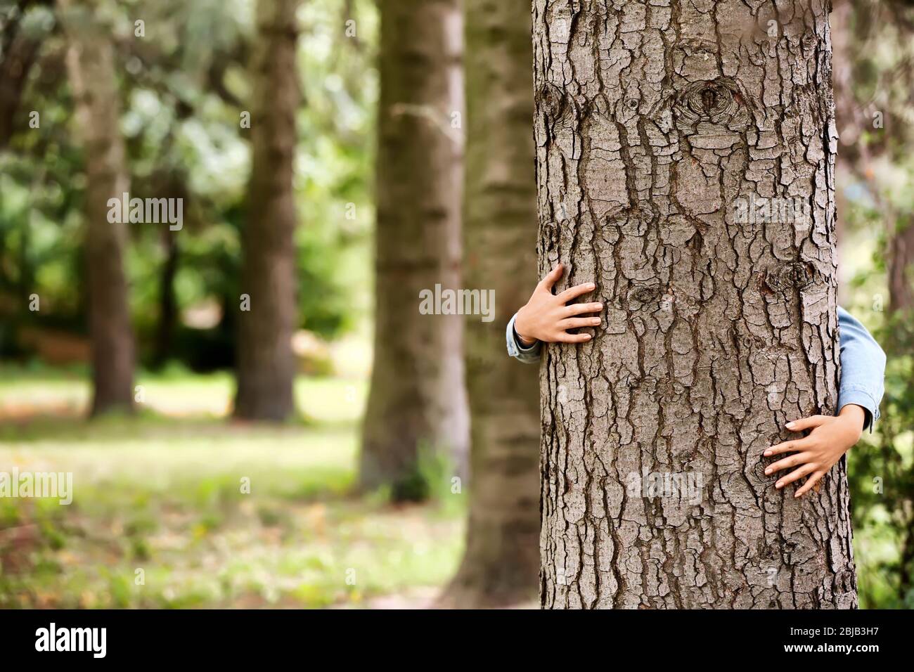 Woman hugging a big tree in a park Stock Photo - Alamy