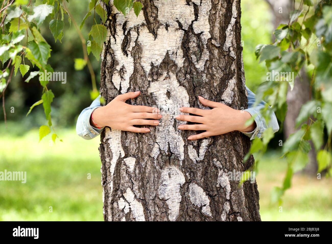Woman hugging a big tree in a park Stock Photo - Alamy