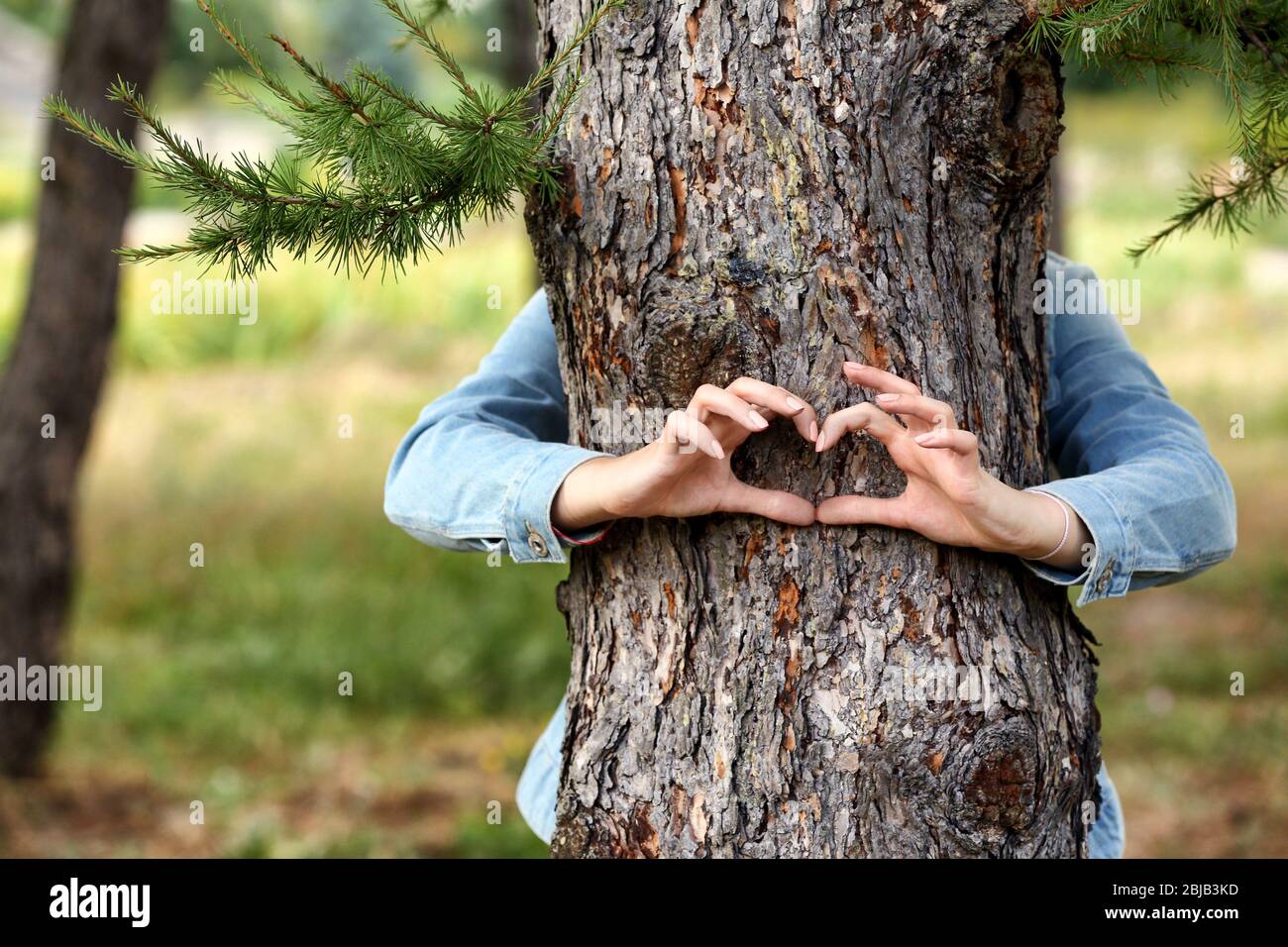 Woman hugging a big tree in a park Stock Photo - Alamy