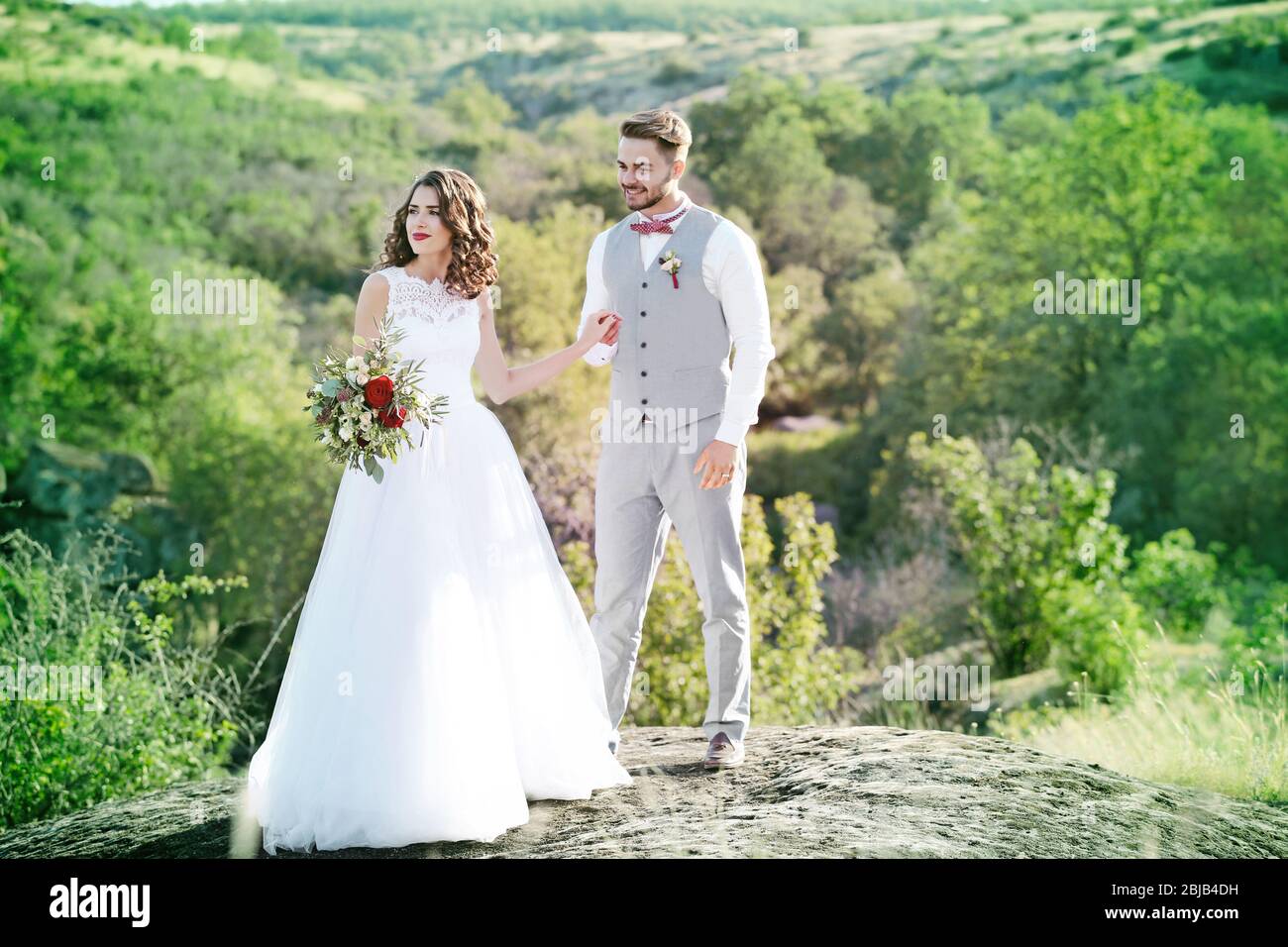 Bride and groom standing over beautiful landscape Stock Photo - Alamy