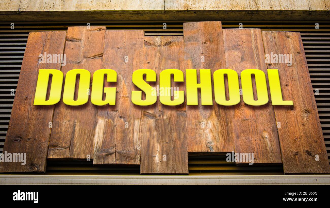 Street Sign the Direction Way to Dog School Stock Photo - Alamy