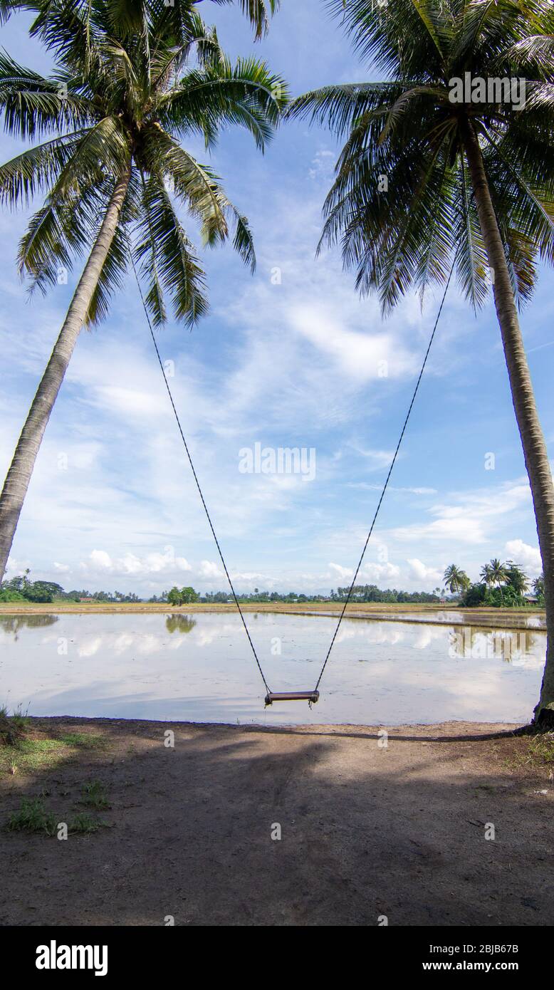 Coconut swing hi-res stock photography and images - Alamy