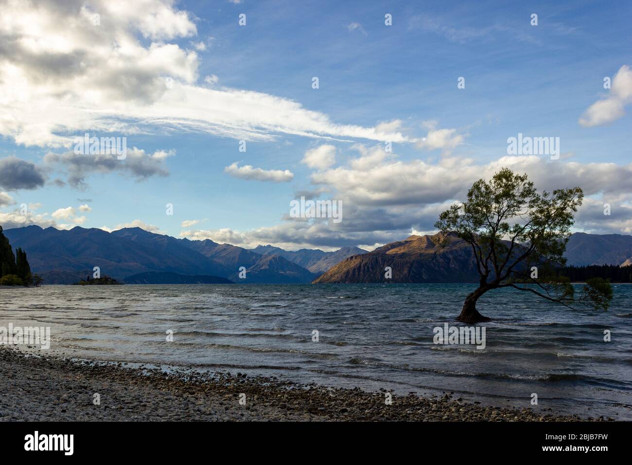Lake Wanaka Tree at Sunset - the Most Photographed Tree in New Zealand ...
