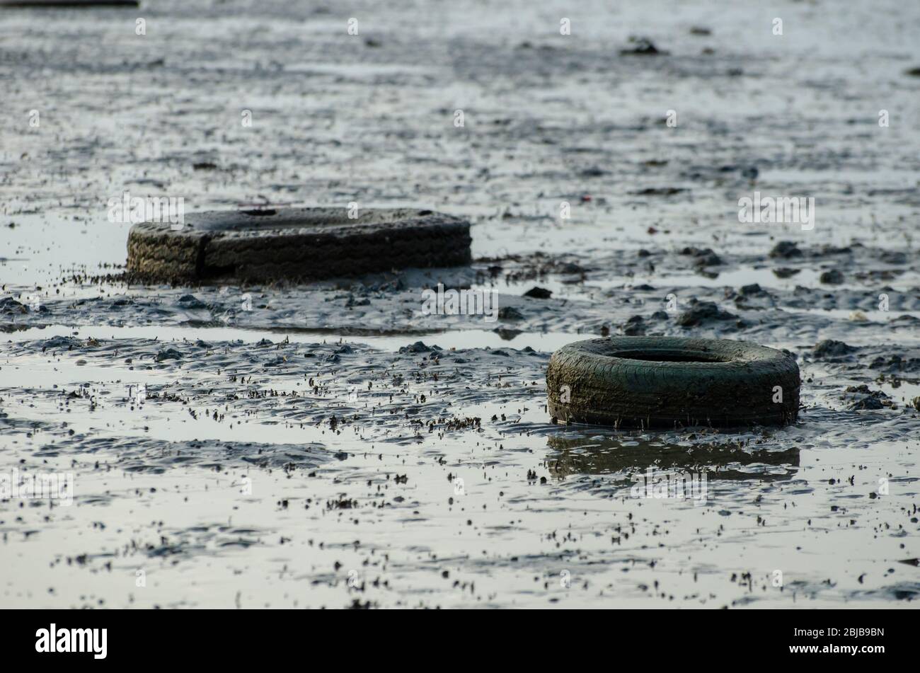 Old car tire at sea coastal Stock Photo - Alamy