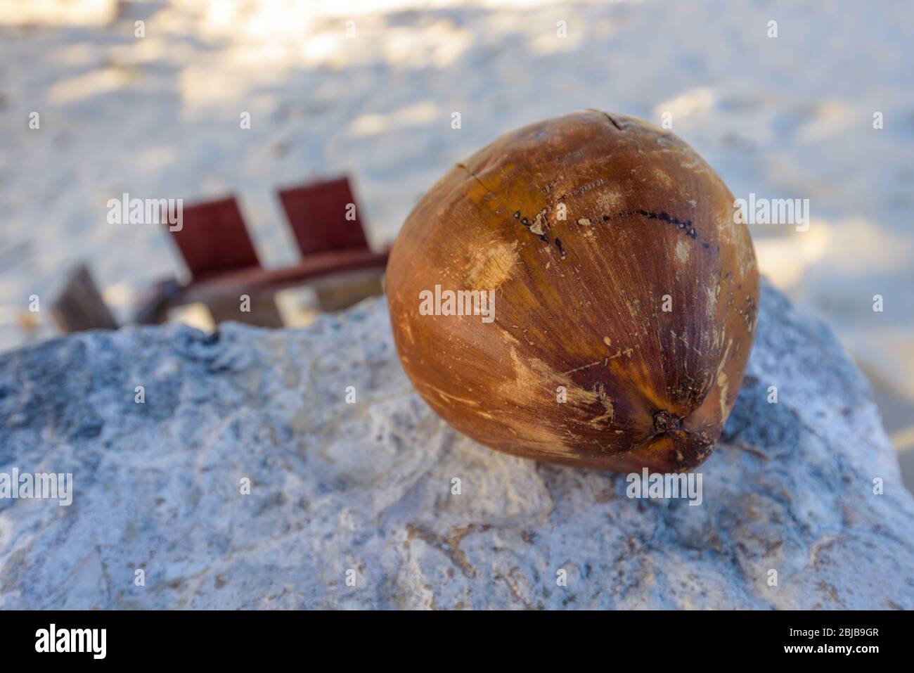 Woman coconut drink caribbean hi-res stock photography and images - Alamy