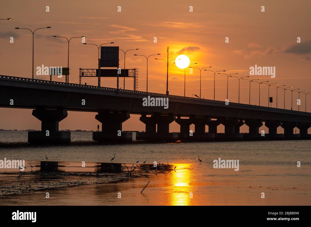 Penang Bridge during sunset hour. Crane birds looking for food at ...