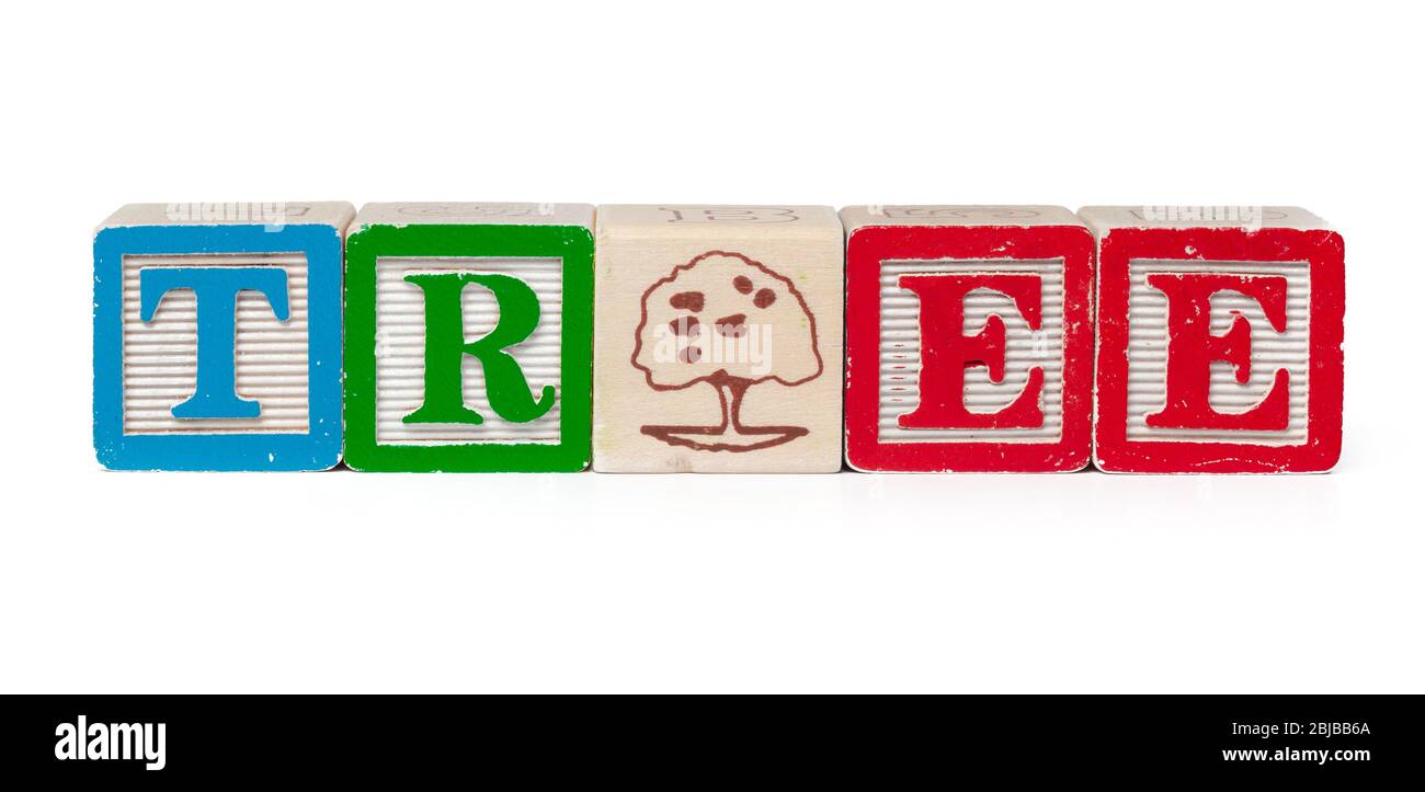 Colorful alphabet blocks. Word tree isolated on white background Stock ...