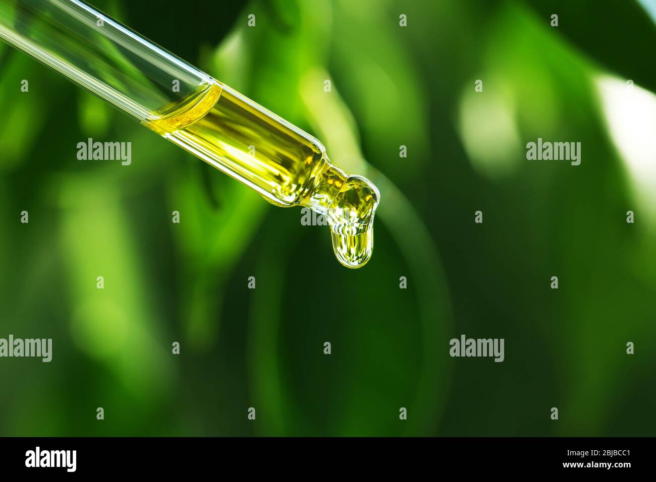Pipette with essential liquid, closeup Stock Photo - Alamy