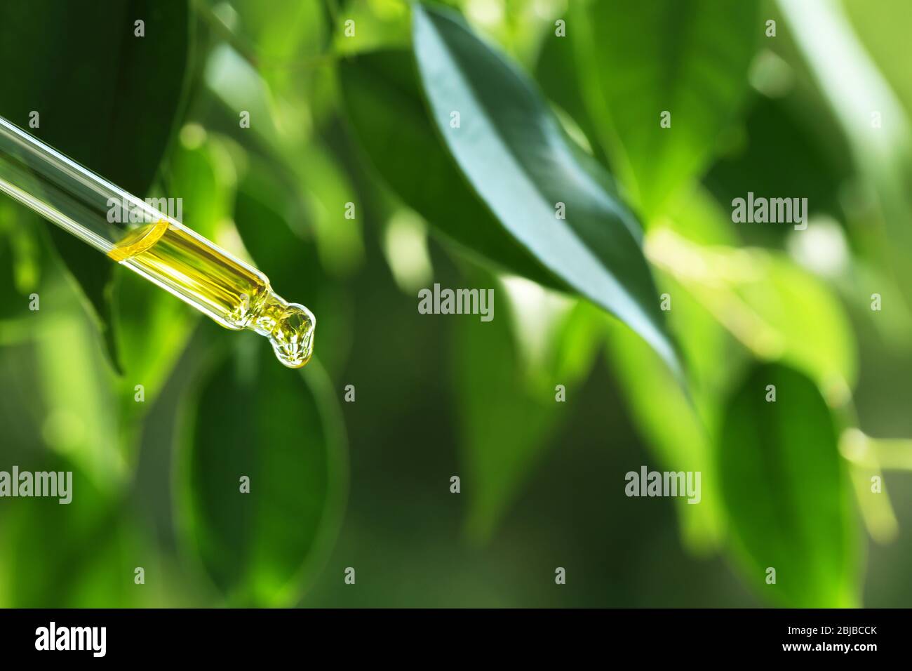 Essential liquid hi-res stock photography and images - Alamy