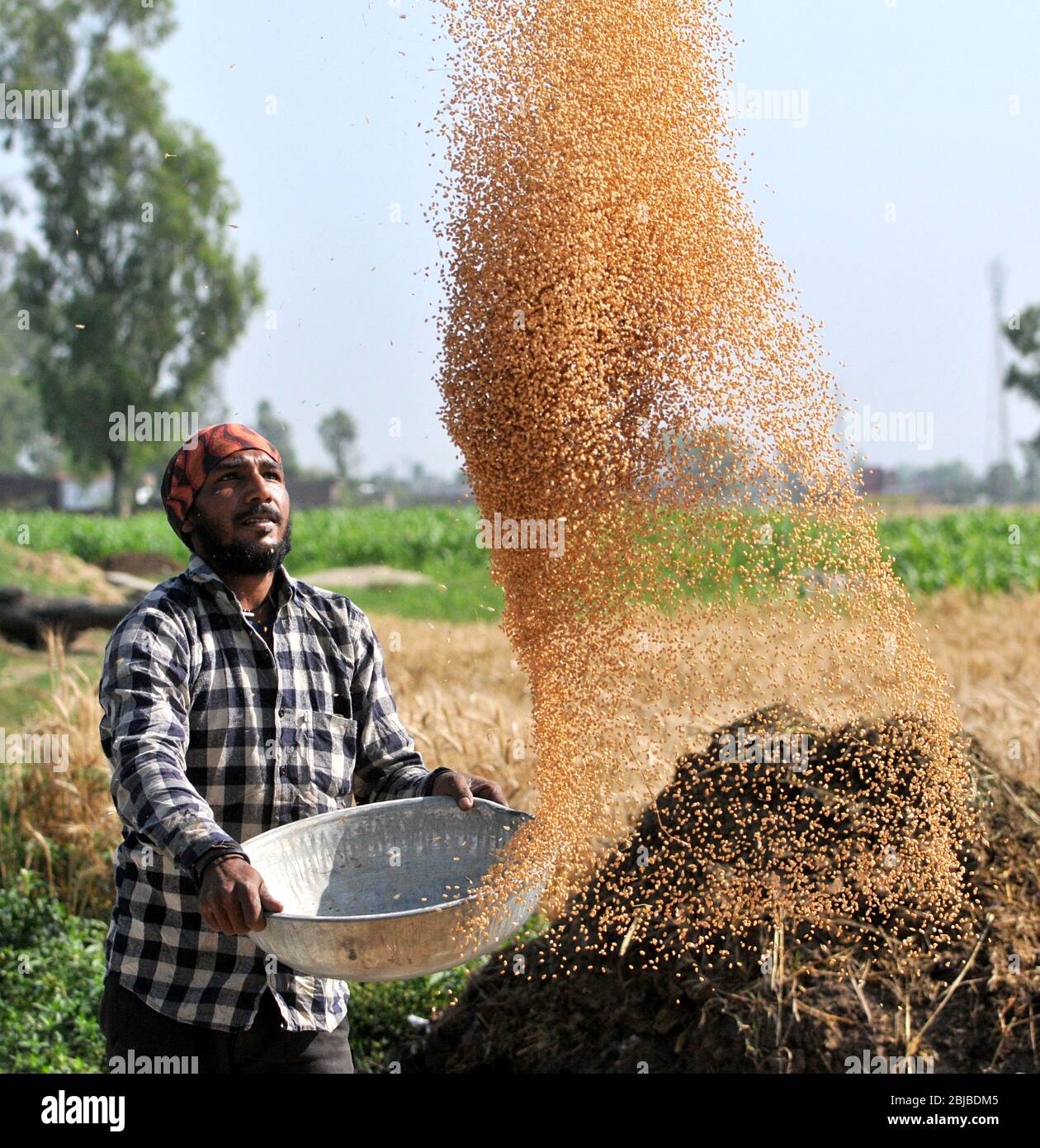 Wheat from the chaff hi-res stock photography and images - Alamy